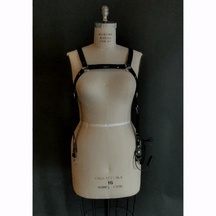 Remote Controlled LED Harness